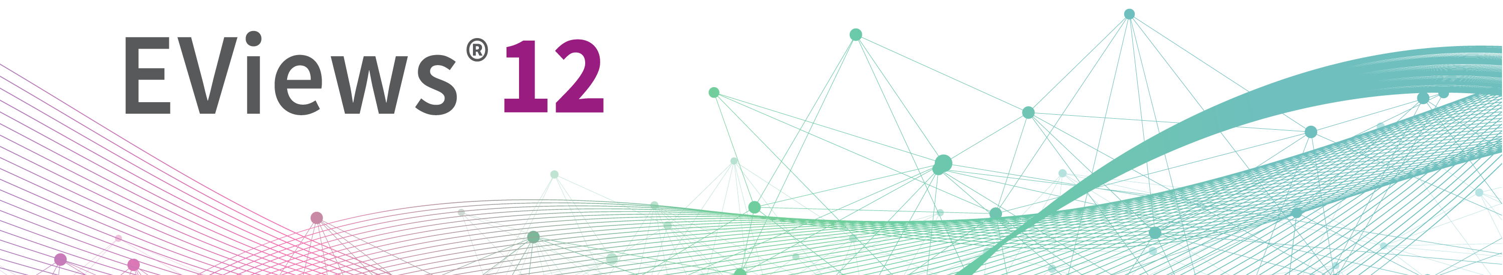 EViews - software - Multion Consulting